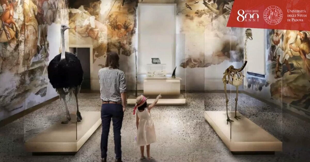 The Museum of Nature and Humankind Opens in Padua, Italy - The Goppion ...