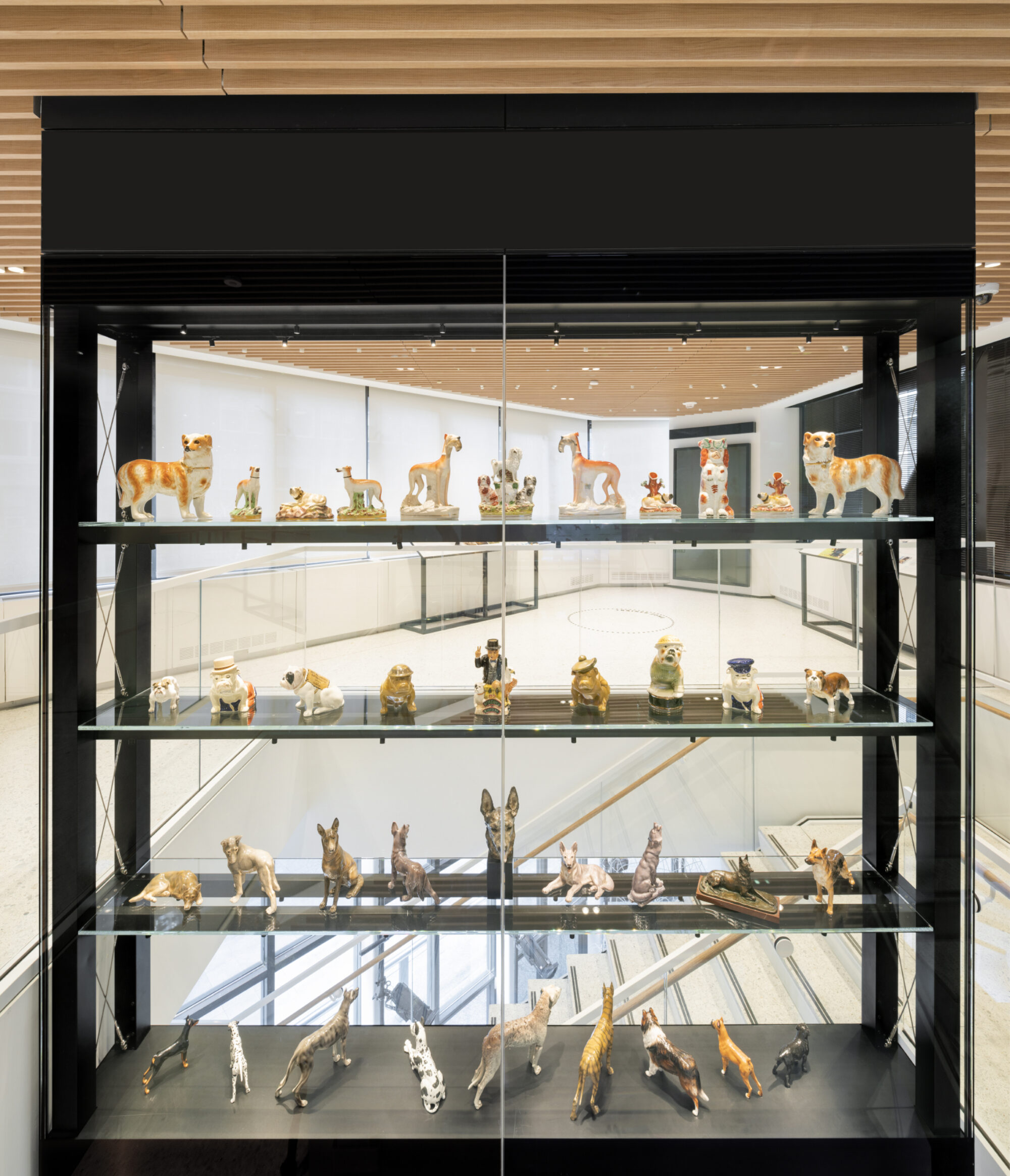 The AKC Museum of the Dog - Projects - Goppion