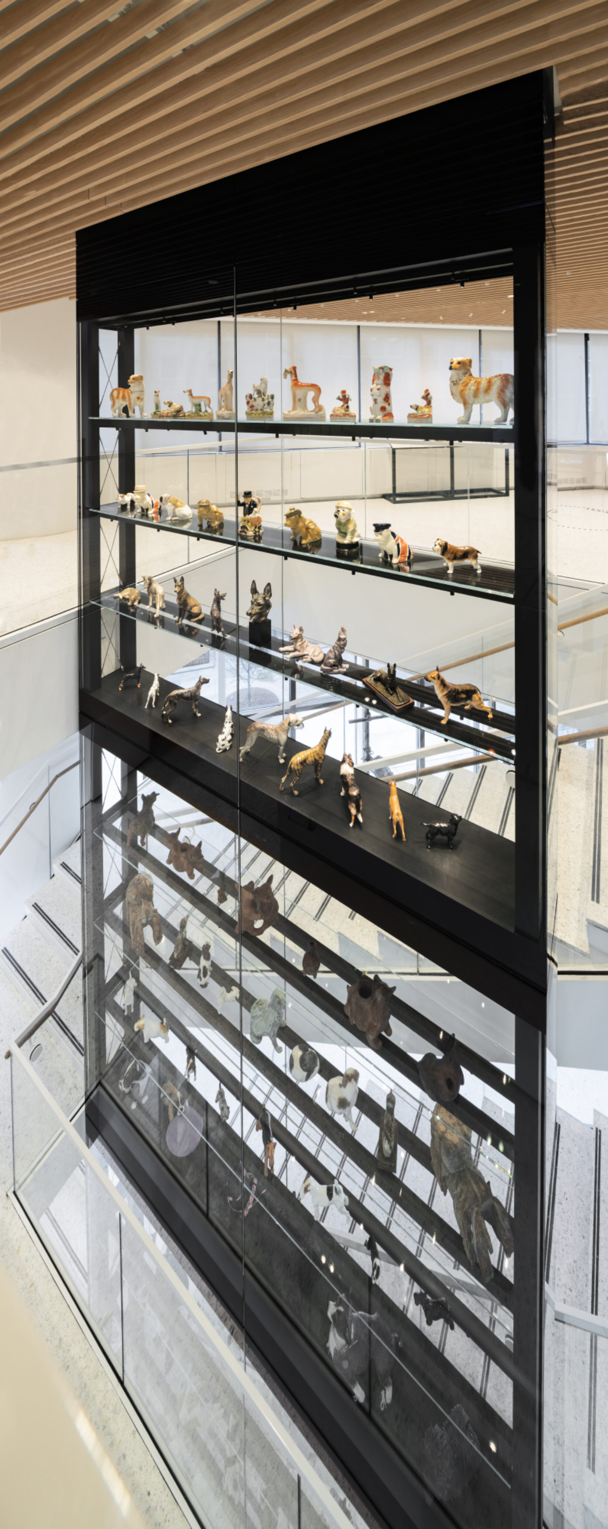 The AKC Museum of the Dog - Projects - Goppion